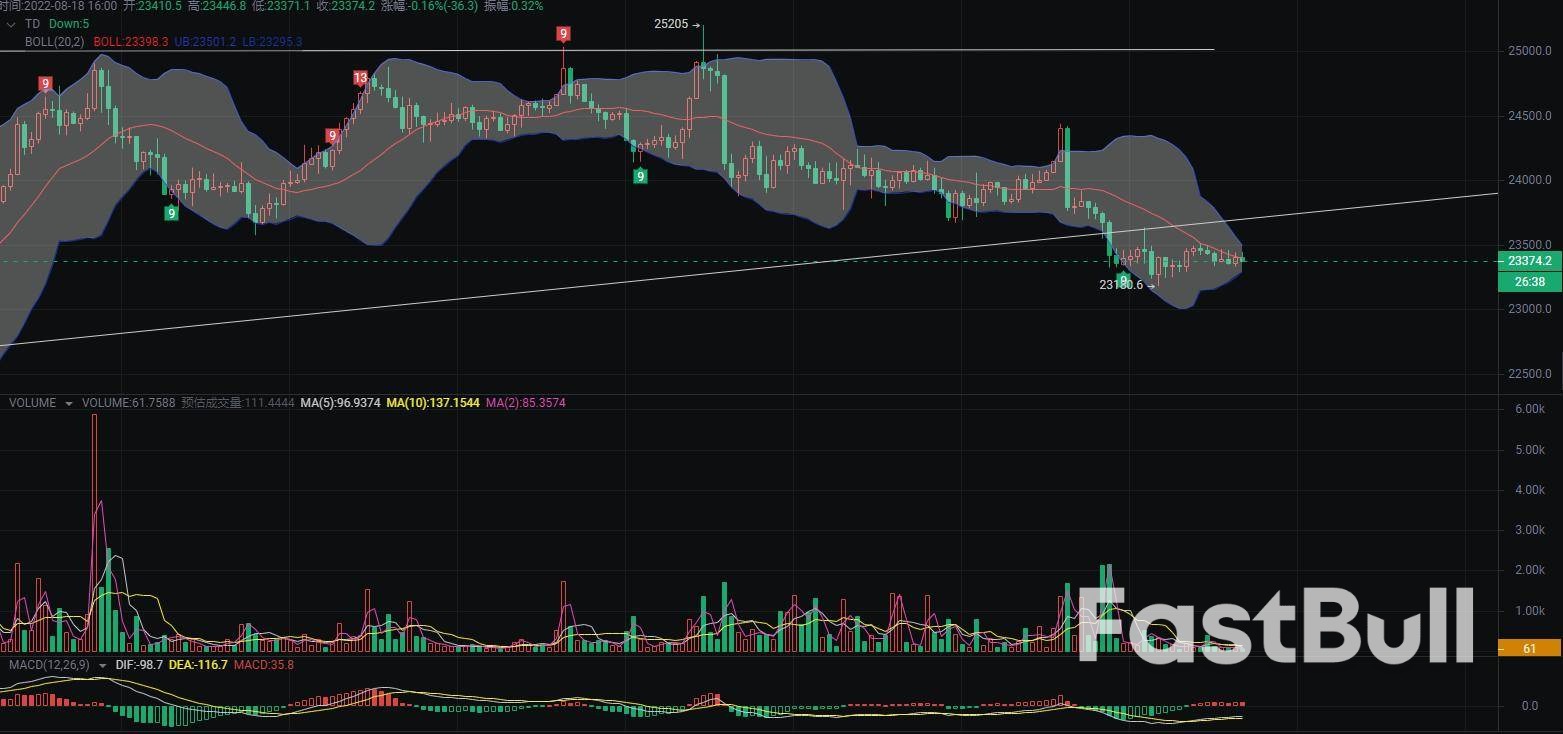 Falling after Rising Higher in the Daily Chart, with a Downward ...