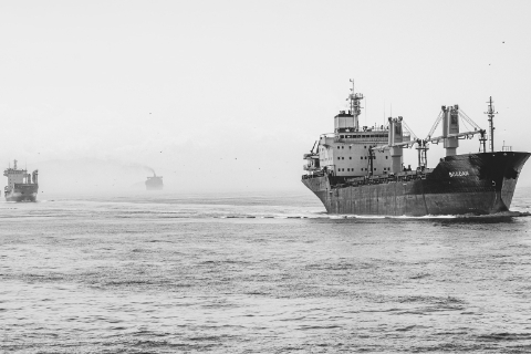 Navigating the Red Sea: Ships Persist Despite US Cautions - FastBull