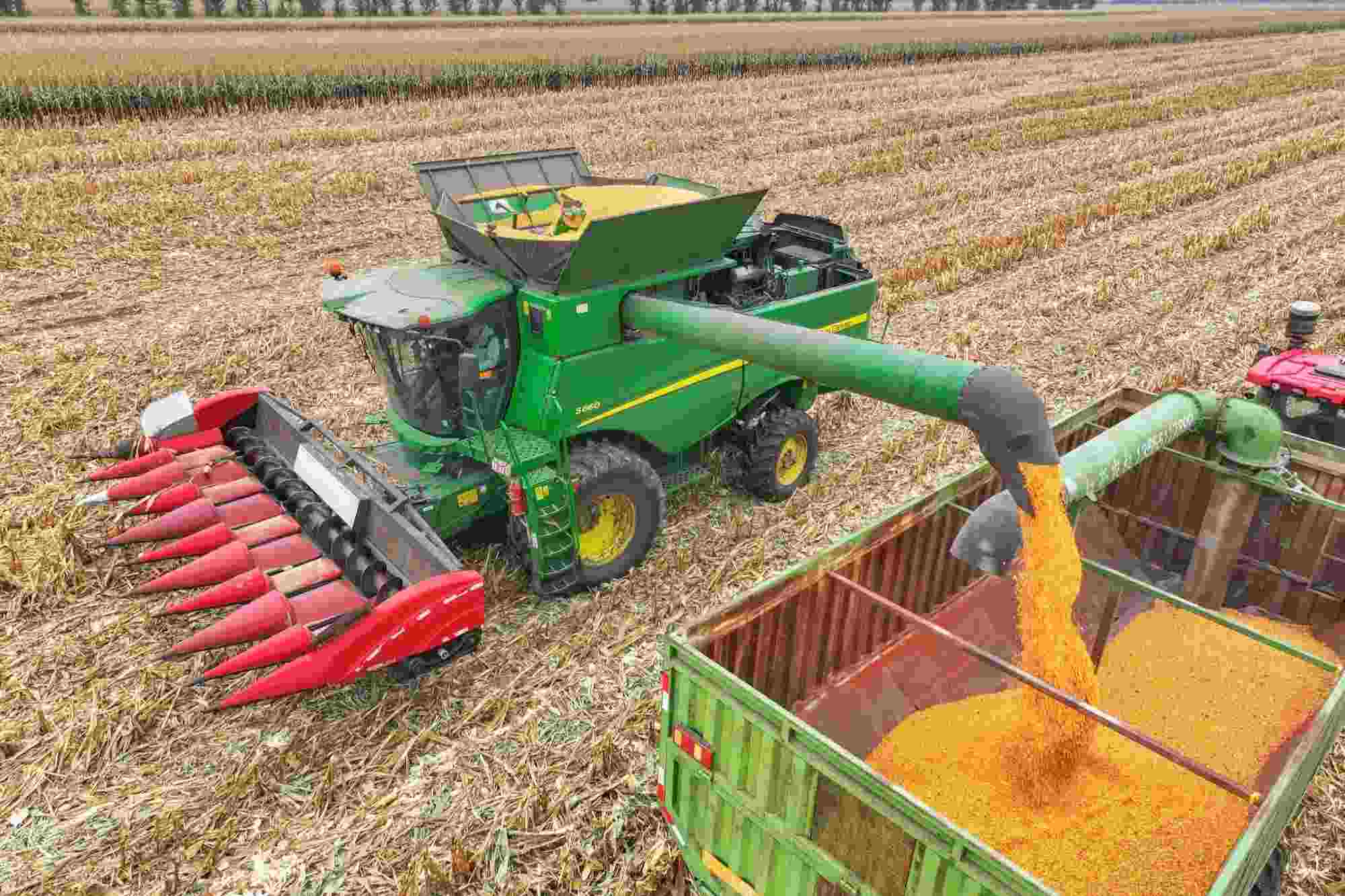 China Races To Secure Corn Harvest After Heavy Rains Rot Crops - FastBull