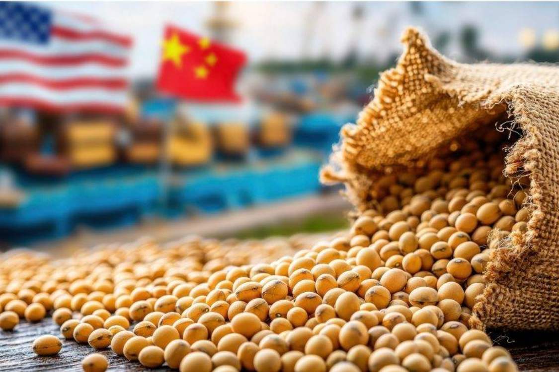 Doubts Rise Over China’s Soybean Commitments Amid USDA Data ...